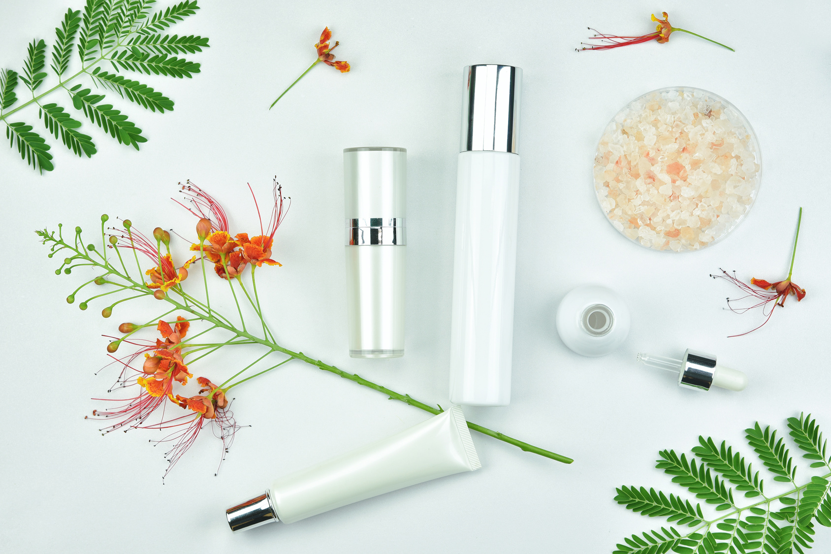 Organic Private Label Course - Natexpo Trade Show