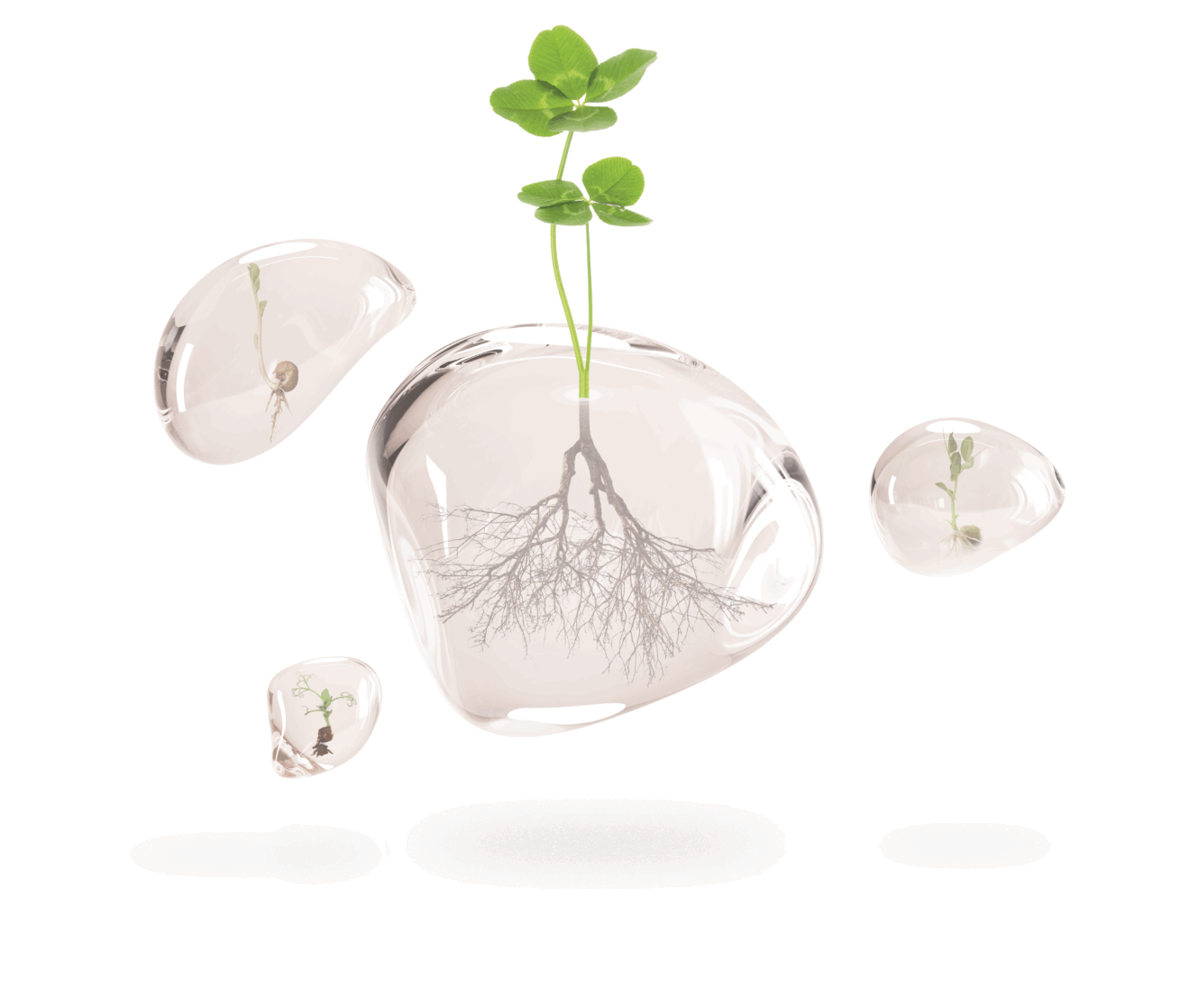 Organic: Natexpo boosts the sector with a 44% increase in visitors per ...